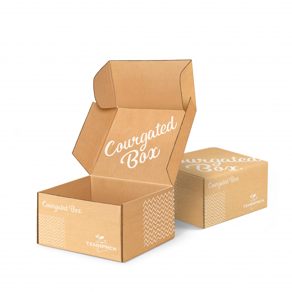 PT. Temprina Media Grafika