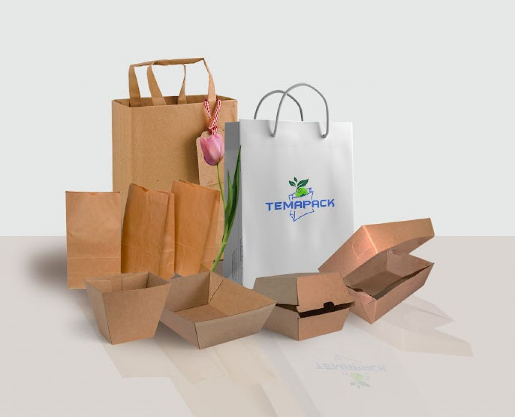 PT. Temprina Media Grafika